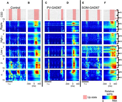 the csd wps depth profiles in each high frequency band a csds top