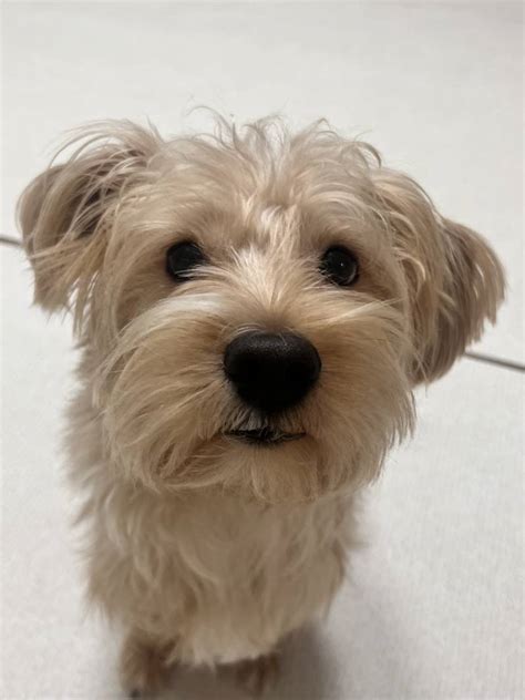 [잡담] 내 관상 어때🐶 인스티즈 Instiz 일상 카테고리