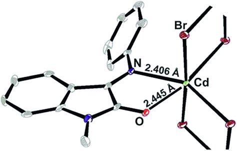 Ortep Plot Of X Ray Determined Structure Of V Coordination Polymer