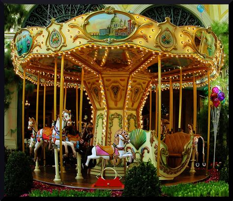 배경 화면 화려한 꽃들 정원 시티 애정 벤치 니콘 엔 단 회전 목마 네바다 휴가 벨라지오 색깔 위엄 있는 황금의 그림 물감 미국 야생