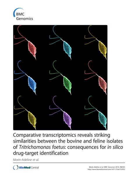 Pdf Comparative Transcriptomics Reveals Striking Similarities Between