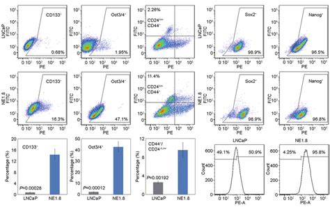 Flow Cytometric Analysis For Stem Cell Surface Markers Increased Cell