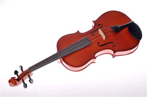 Bratsche Bilder Bla Gjennom 140 667 Arkivbilder Vektorer Og Videoer