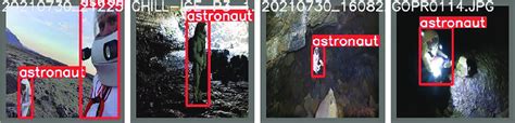 sample of human annotated images used for model training credits to