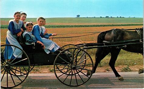 Amish Girls Riding Horse And Buggy After Church Pennsylvania Amish