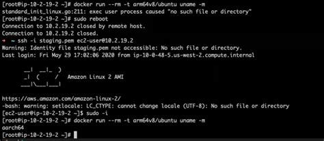 Running Linux On Arm Sale