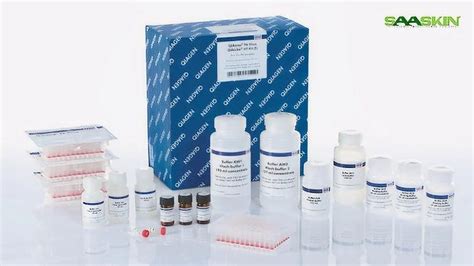 Qiagen Qiaamp Dna Blood Maxi Kit 50 At Best Price In Chennai
