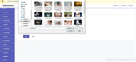 基于javavuessmjsp的宠物医院管理系统的设计与实现vue录像源码lw部署文档讲解等 Csdn博客