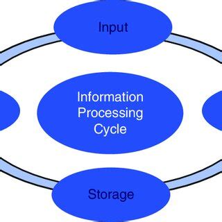 1 Information Processing Cycle Download Scientific Diagram