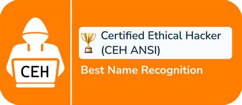 Top Entry Level Cyber Security Certifications For You In 2023