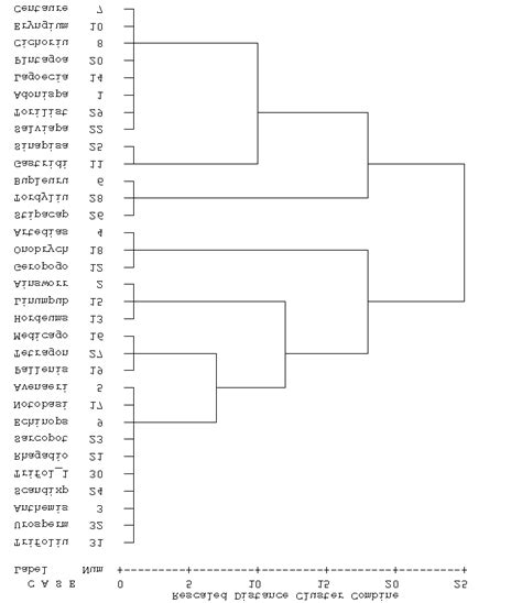 1 dendrogram resulted from hierarchical cluster analysis using