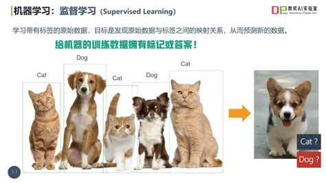 《ai数据治理指南》：ai 在主数据治理中应用、基于deepseek数据治理方案、大模型赋能数据治理、数据治理全过程域工具包 Csdn博客