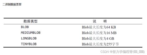 因数据库字段可存储长度设置的小了，已达到设置字符类型的存储上限，导致数据存储时报错 及 常用的数据类型为什么还是会报数据库容量小的错 Csdn博客