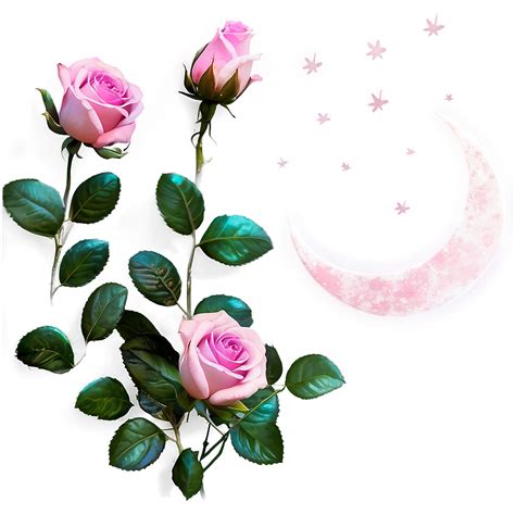 Download Pink Roses Under Moonlight Png Cmq