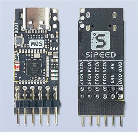 low cost risc v bl616 module supports tinyml
