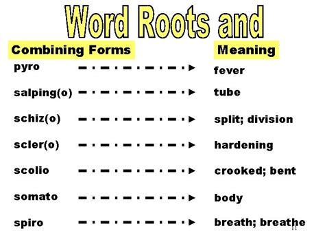 Word Root Building Medical Terms Prefix Suffix Combining