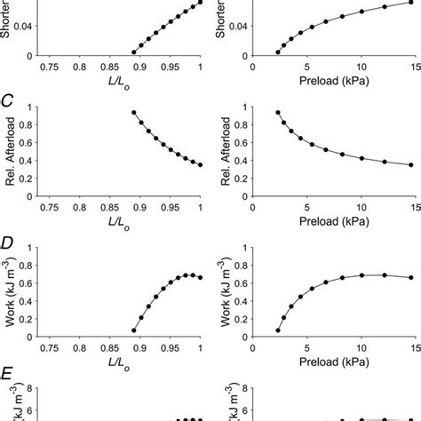 simulated work loops of the same width at various initial lengths case