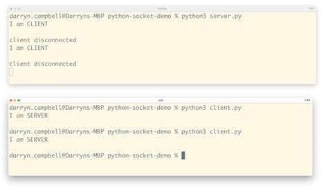 Основное руководство по программированию сокетов на Python клиентские