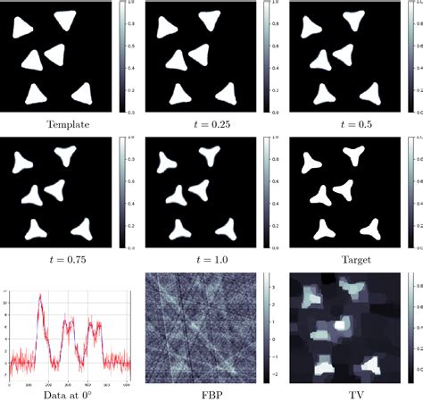 large deformation diffeomorphic metric mapping semantic scholar