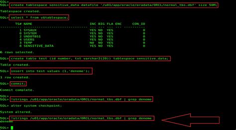 Oracle TDE Transparent Data Encryption