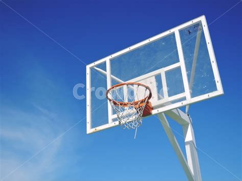 농구 농구장 골대 농구골대 농구공 사진 이미지 일러스트 캘리그라피 단단디작가