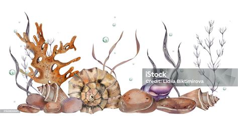 조개 조류 산호를 사용한 수중 수채화 구성 해양 테마입니다 엽서 포스터 전단지 로고 여행사 해변 액세서리 여행 목록 문구 직물을