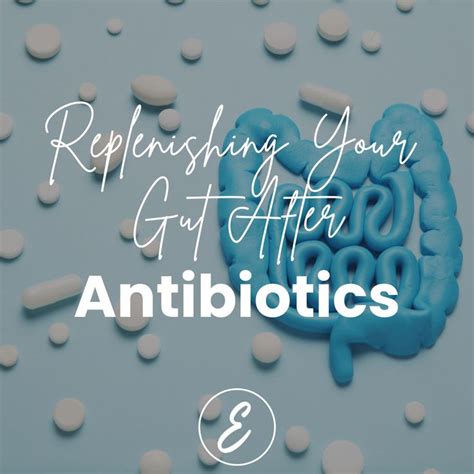 Replenishing Your Gut After a Course of Antibiotics: A Guide to Gut ...
