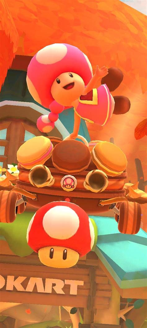 Toadette Wallpapers Top Free Toadette Backgrounds Wallpaperaccess