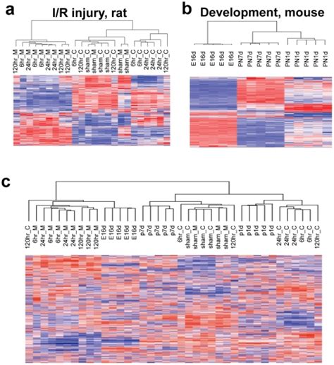 A Hierarchical Clustering Of Top Variable 2000 Genes Segregates The