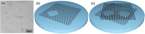 Sem Image Of Monolayer Graphene After The Transfer Procedure A