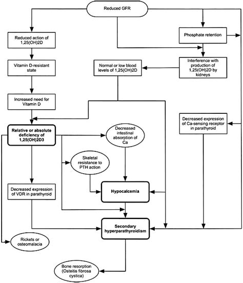 Pathophysiology Of Hyperphosphatemia Phosphate Control In Chronic