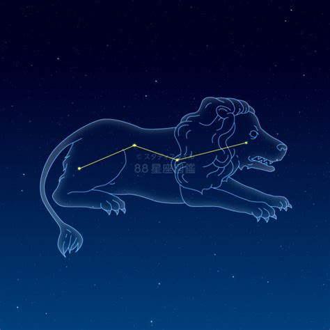 こじし座｜やさしい88星座図鑑