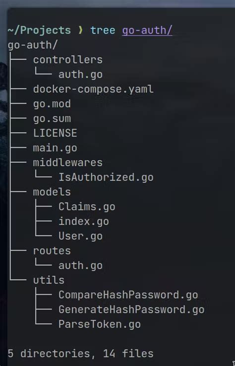 how to implement authentication and authorization in golang dev