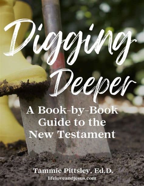 Digging Deeper A Book By Book Guide To The New Testament Life Love