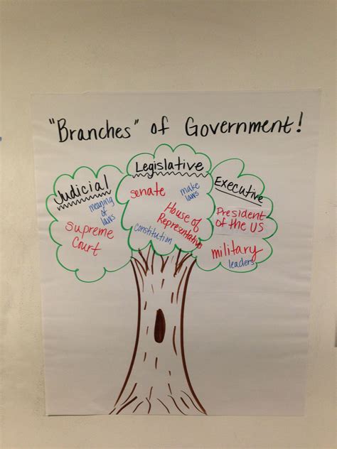 Tree With Three Branches Of Government At Virginia Travis Blog
