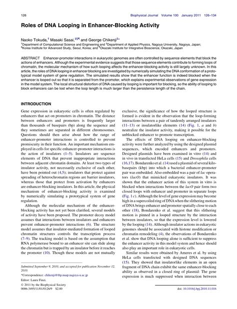 Pdf Roles Of Dna Looping In Enhancer Blocking Activity