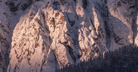 눈으로 덮여 나무로 둘러싸인 산 사진 Unsplash의 눈 이미지