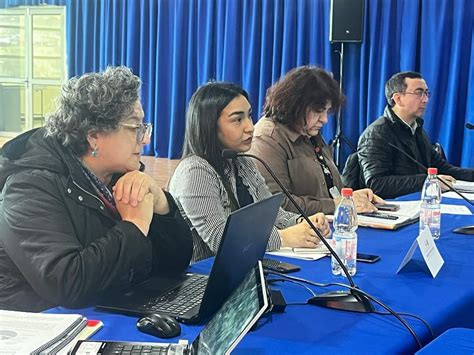 Puerto Montt Incorporará La Violencia Escolar En Su Plan De Seguridad