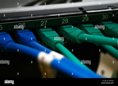 Ethernet Cables Connected To A Switch Stock Photo Alamy