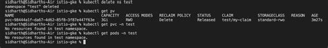Kubernetes Why Do Pvcs Persist When Using Kubectl Delete Ns While Pods Are Deleted And The