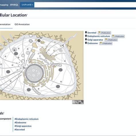 PDF UniProt The Universal Protein Knowledgebase In