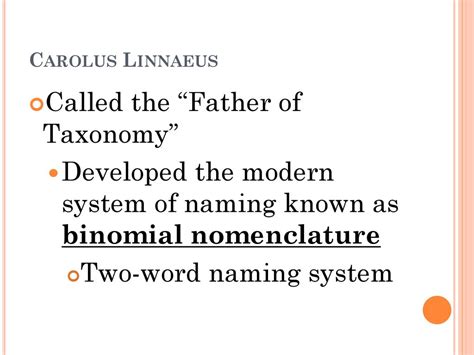 Classification Why Do You Think Scientists Like To Put Organisms Into