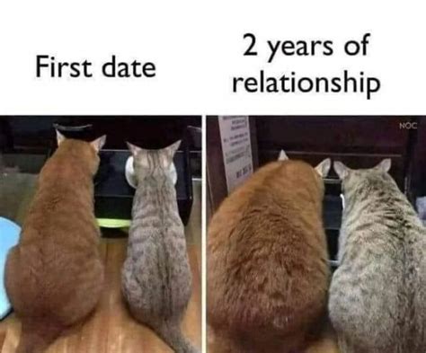 40 Relationship Memes For Anyone Craving Romance Demilked