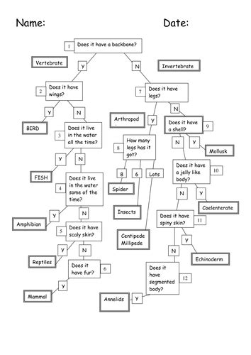 Identification Key Of A Variety Of Organisms Teaching Resources
