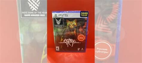 Stray PS5 купить в Благовещенске | Электроника | Авито