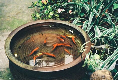 Understanding Pond Filtration Systems A Practical Guide Build Your Pond Tips And Supplies