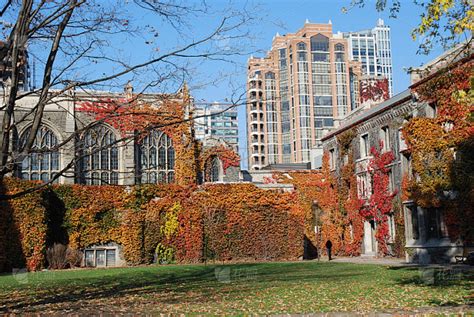秋季常青藤的大学校园