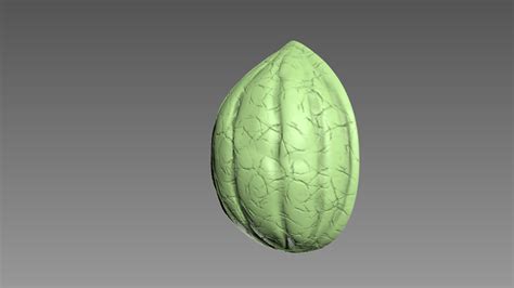 Stl File Nut Shell 🔩・3d Printable Design To Download・cults