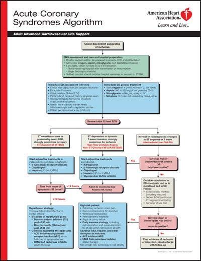 Acls Algorithm Flow Chart