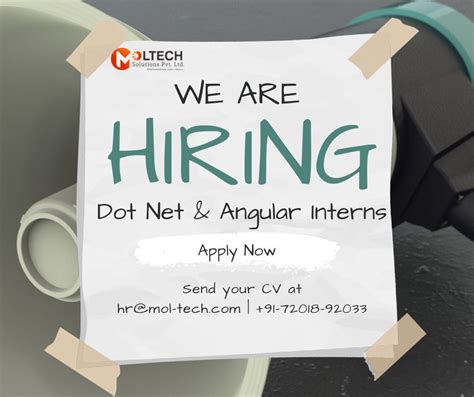Techinternship Dotnet Angular Developeropportunity Innovation Moltech Solution Pvt Ltd